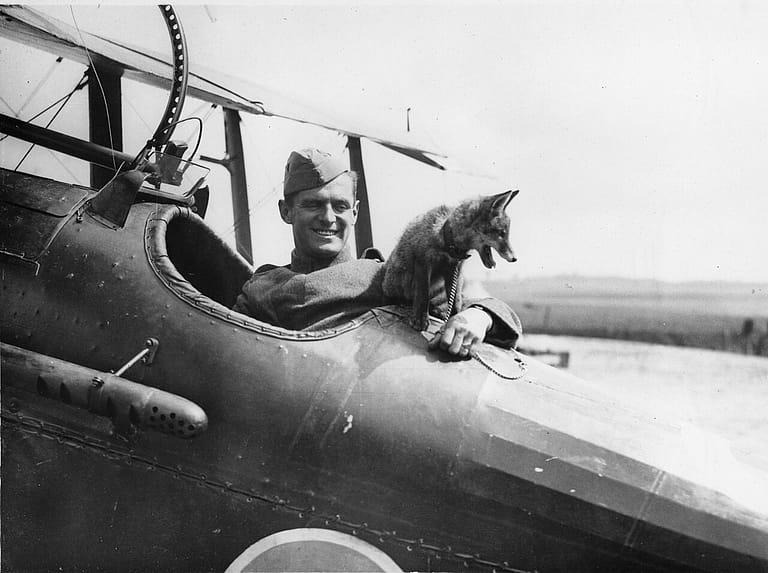 Albert Ball – Britain's First Fighter Hero of WWI | MiGFlug